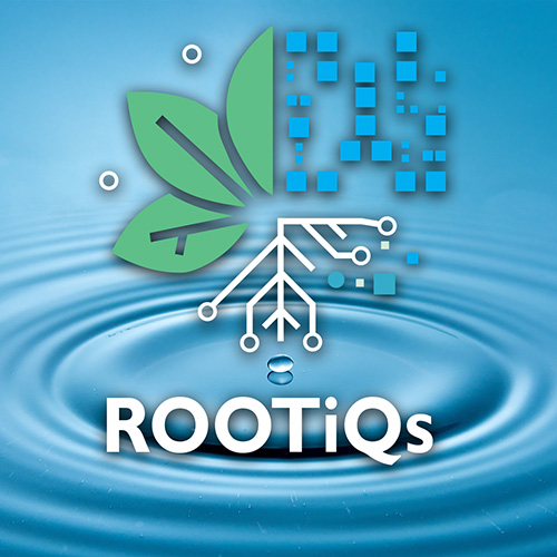 Scanning Light Photomacrography - ROOTiQs